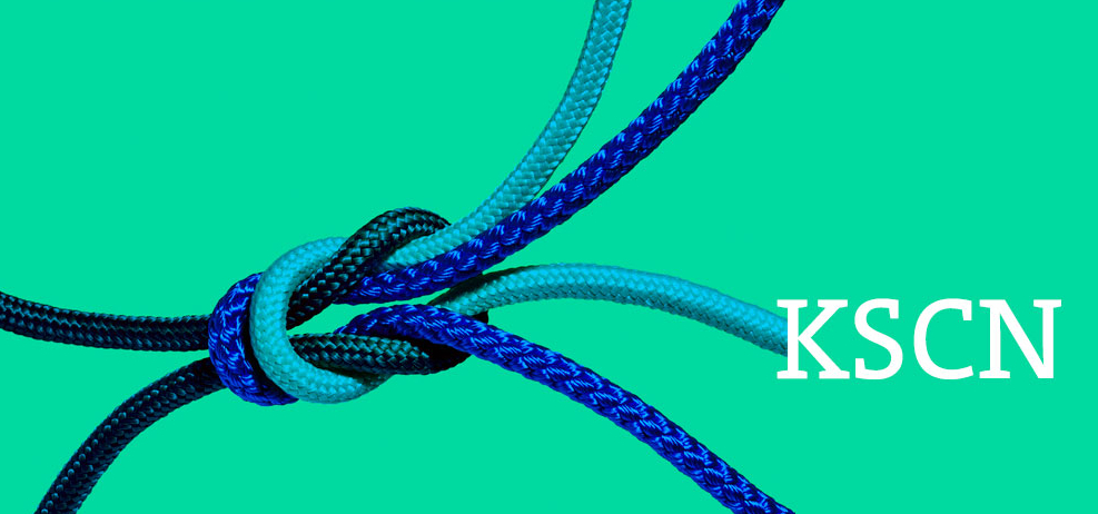 Wissenschaftskommunikation erforschen: Das KSCN | VolkswagenStiftung